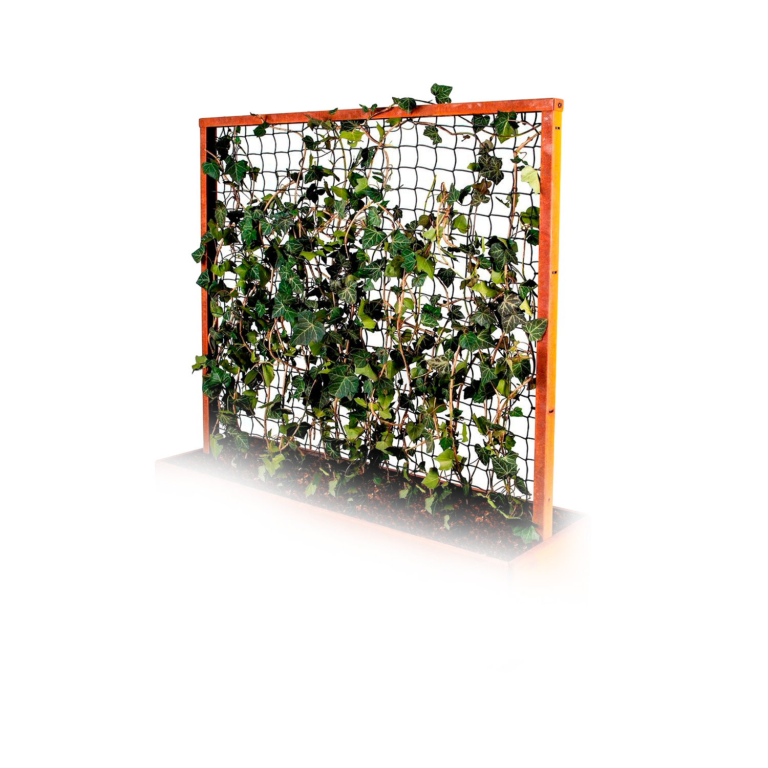 Espalier Land Classic, jern/rust - uden plantekasse